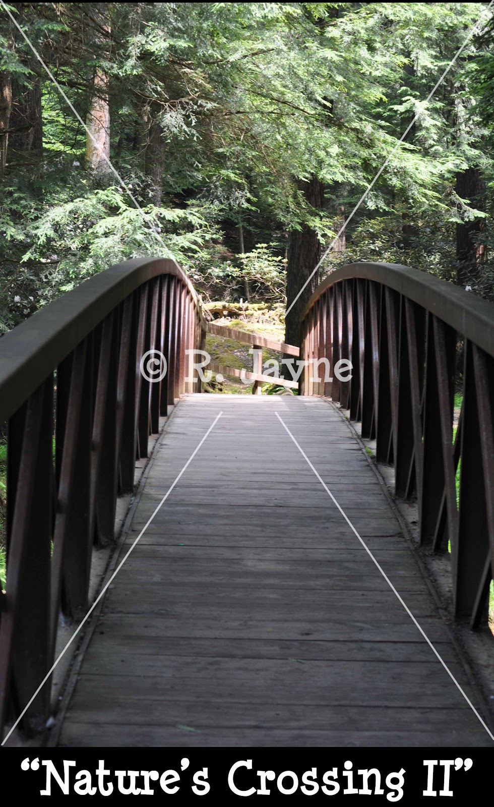 4th Grade For Sure: My Art