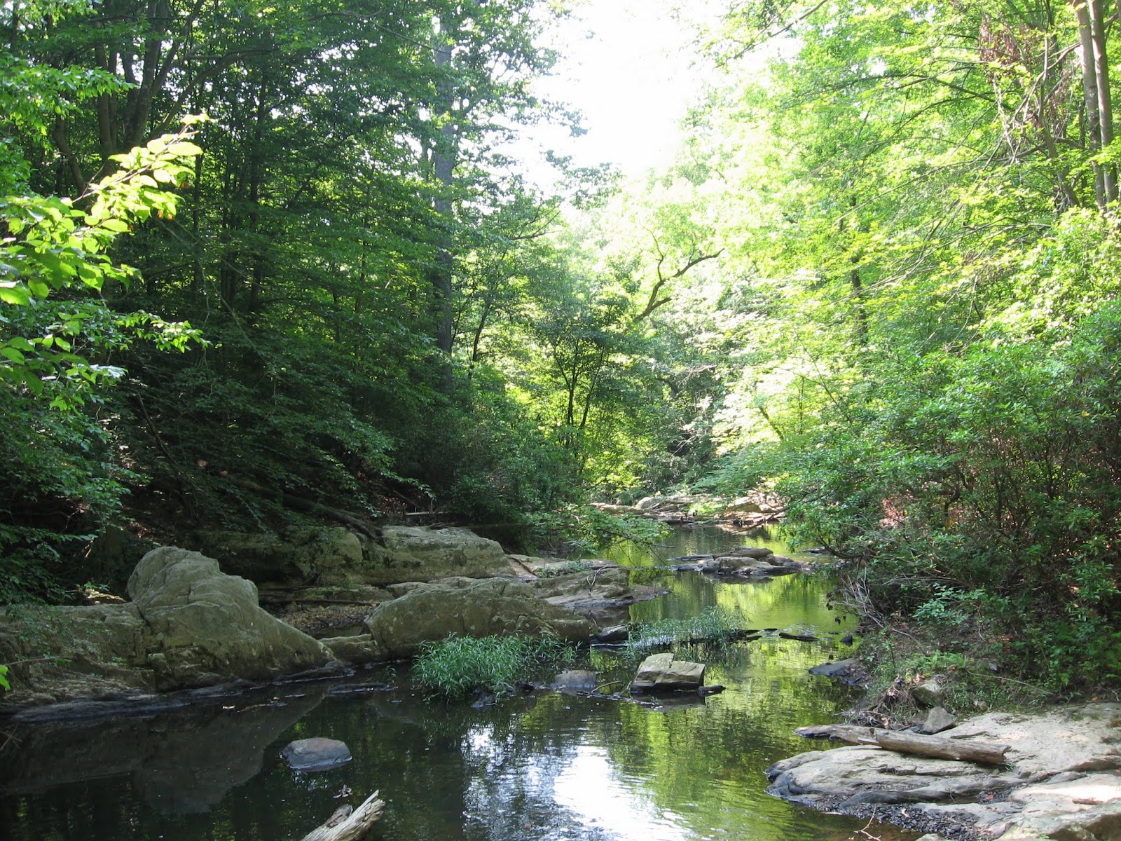 Prince William Forest Park