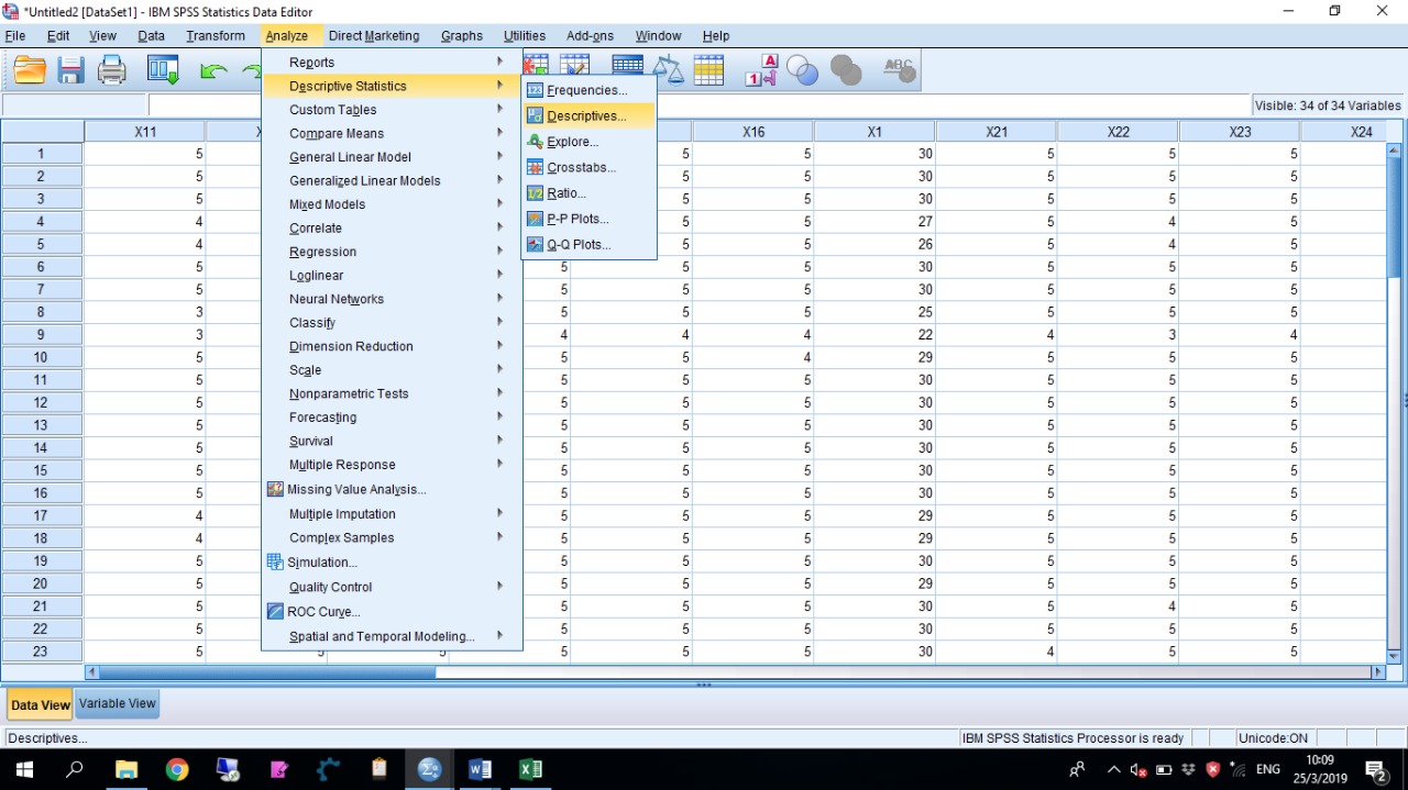 SPSS: Hasil Statistik Deskriptif