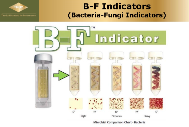 LAB ONLINE: ชุดทดสอบแบคทีเรีย (BF indicator)