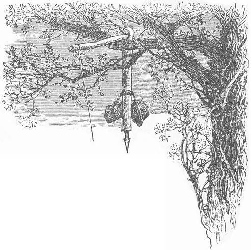 Drawing : Trapping and Framing