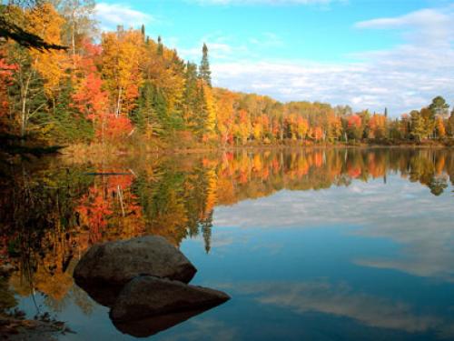 Desktop Wallpapers | Free Wallpapers | Desktop Backgrounds | Laptop ...