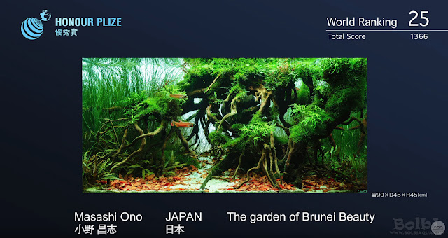 IAPLC 2017 - Top 127 [Photos] ~ Bolbi Aquarium