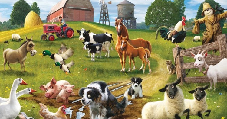 Foto Jenis Gambar Hewan Ternak Di Indonesia