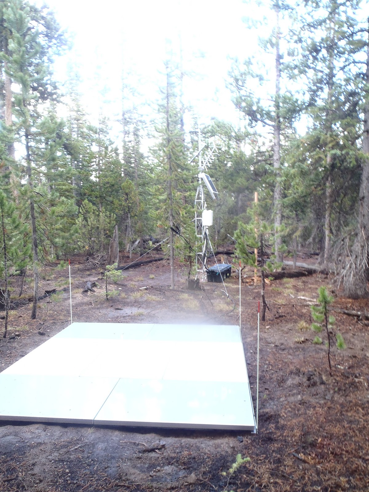 Wyoming EPSCoR: Snow Pillows and Snow Plates