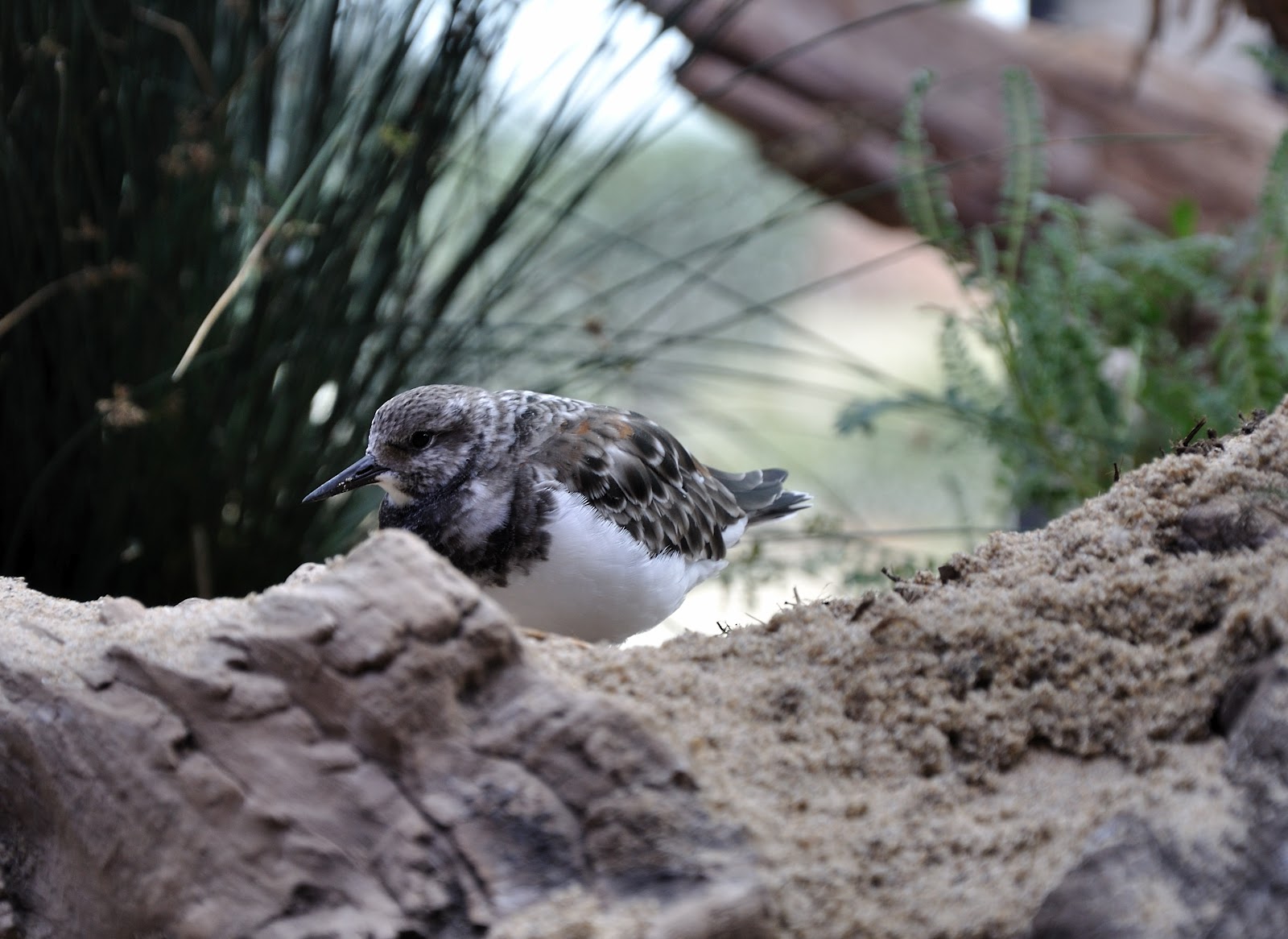 Barbara Rich Photography