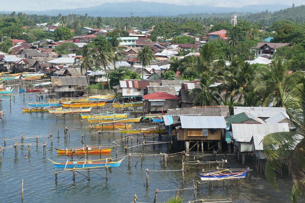 OUR PHILIPPINE TREES: Terrific Views of Tandag!