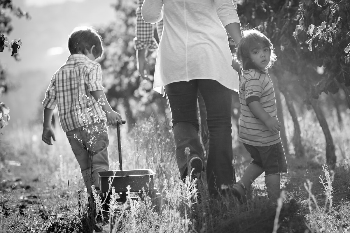 susie leblond photography: Hardiman Family