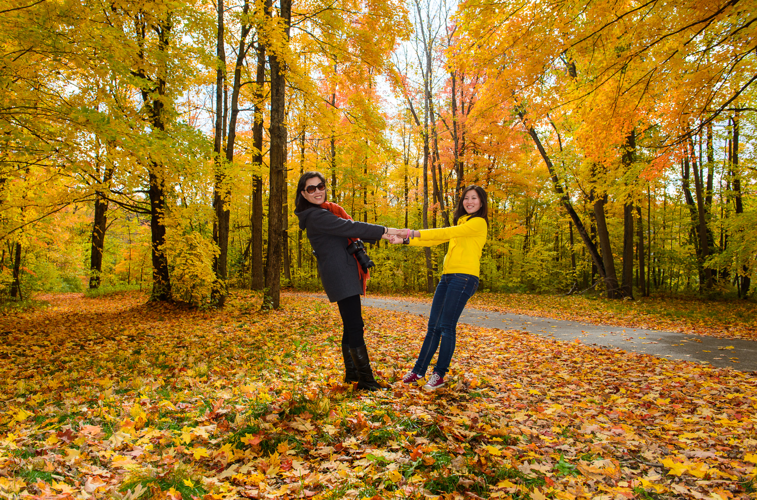 Steve Q Photo: Michigan Fall Color 2012 Day 3 Shanty Creek Resorts ...