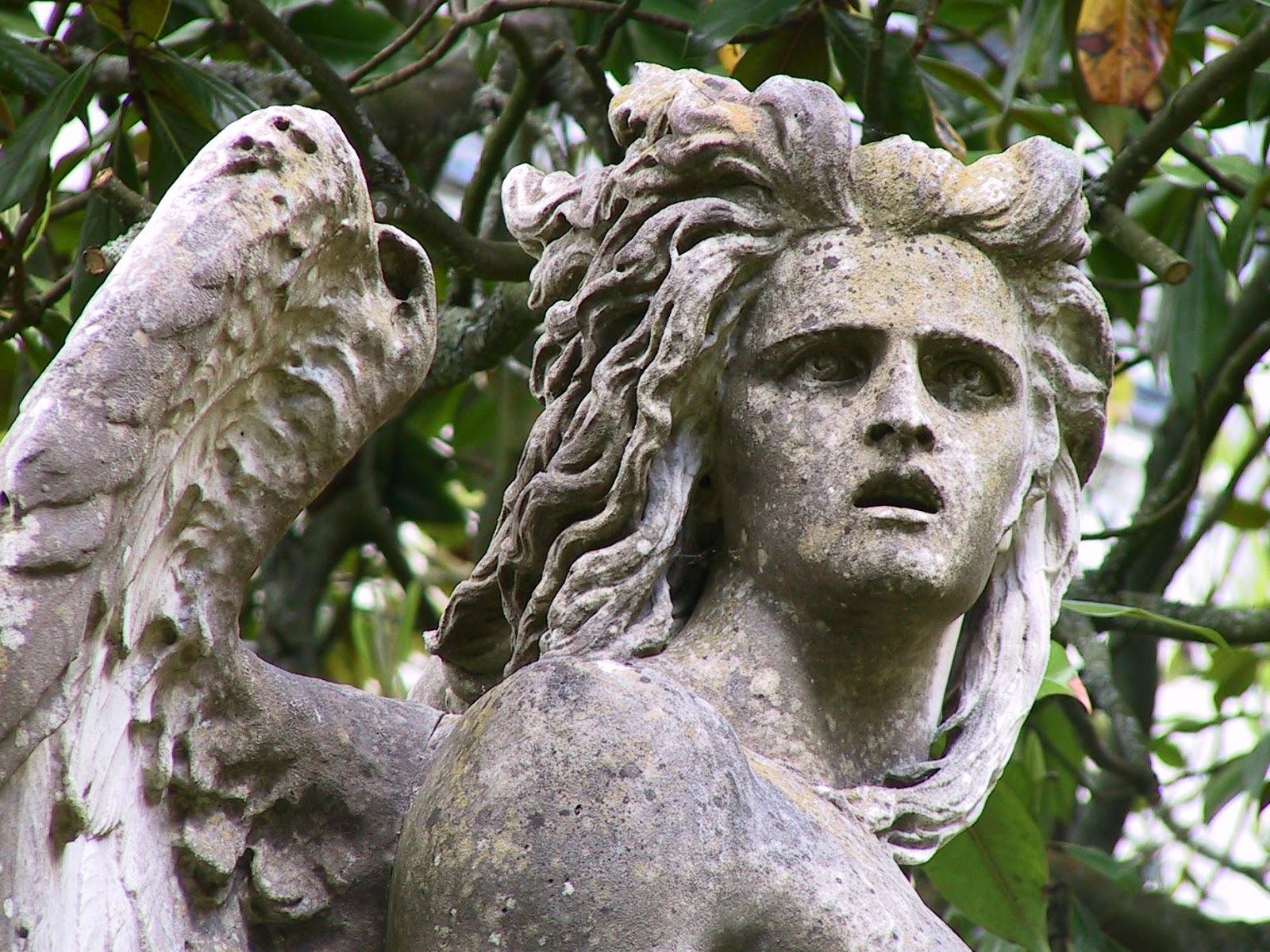 Living the life in Saint-Aignan: Montrésor (nº 23)