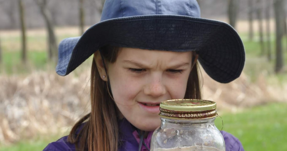 Soil Science: Sediment Jars