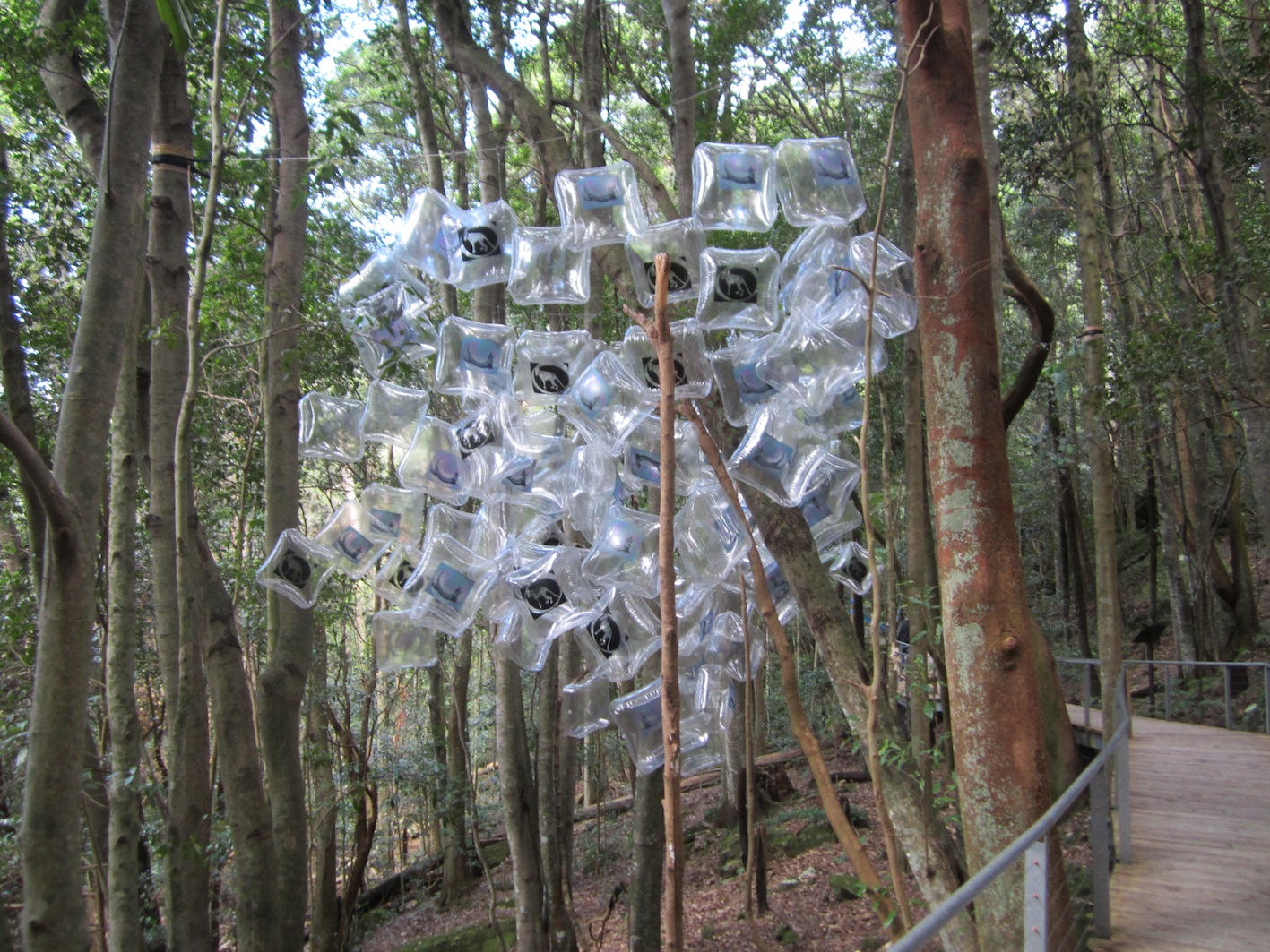 sixtoeight.net: Scenic World - Sculpture at Scenic World