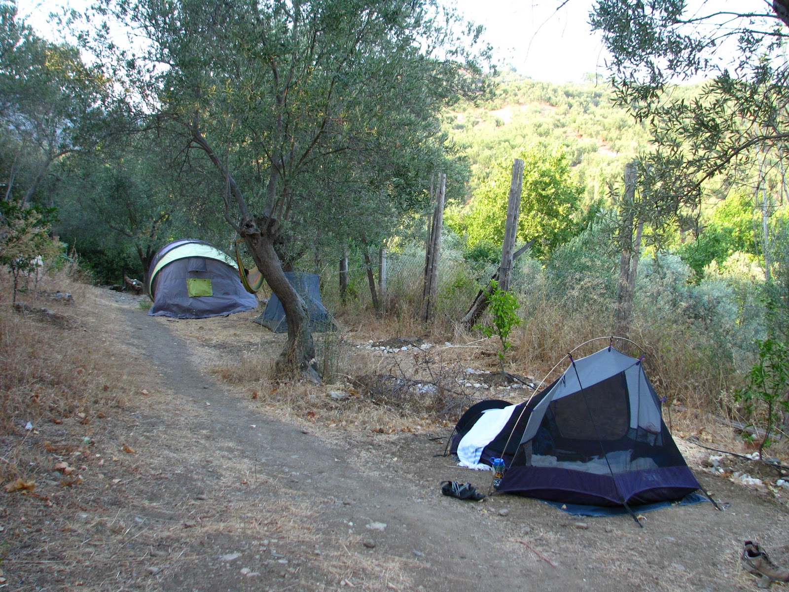 Turkish Adventures: Back to Turkey! Volunteering at an Organic Olive Farm
