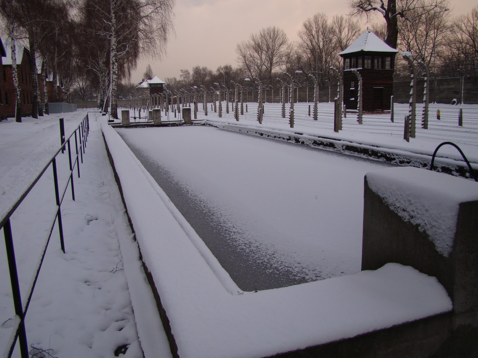 Auschwitz 2012: Auschwitz 1: The Swimming Pool