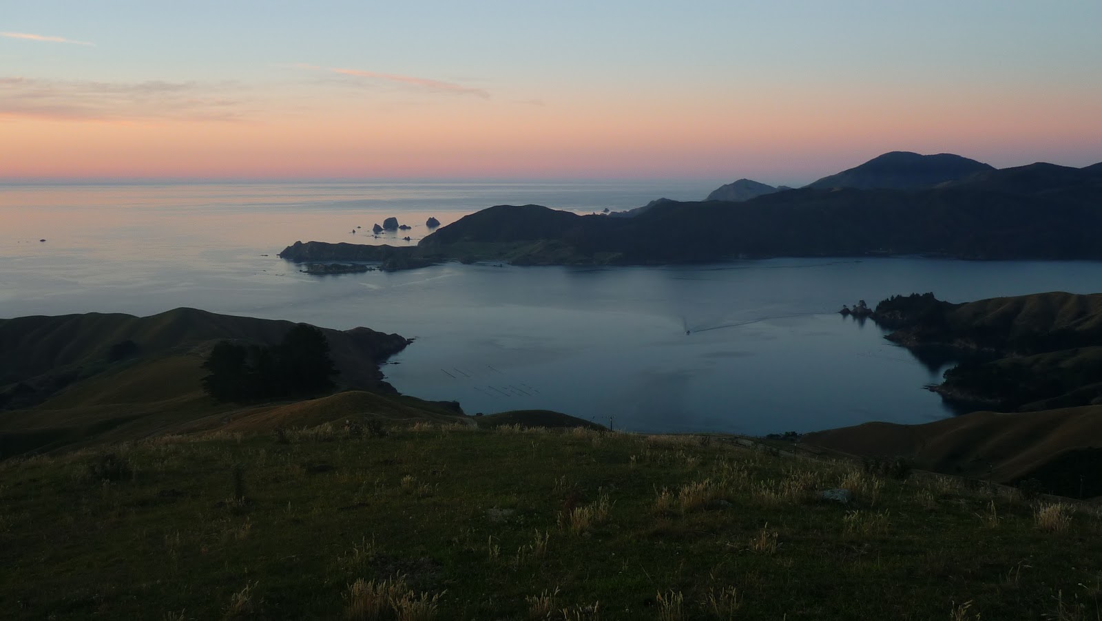 New-Zealand Adventure: Tondre des lamas à Cissy bay