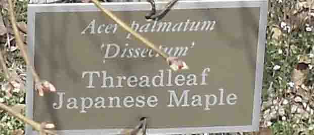 Betsy's Wildwood Home: Oatlands plantation Green house