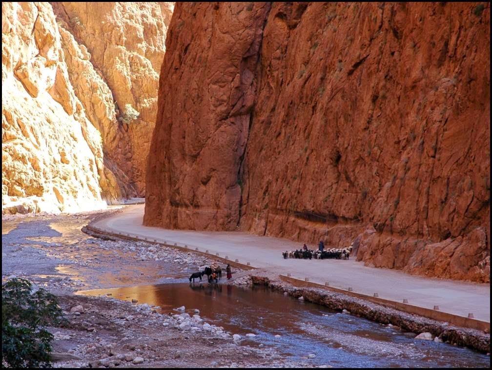Todra Gorge: Beautiful canyon in the High Atlas Mountains - Travel ...