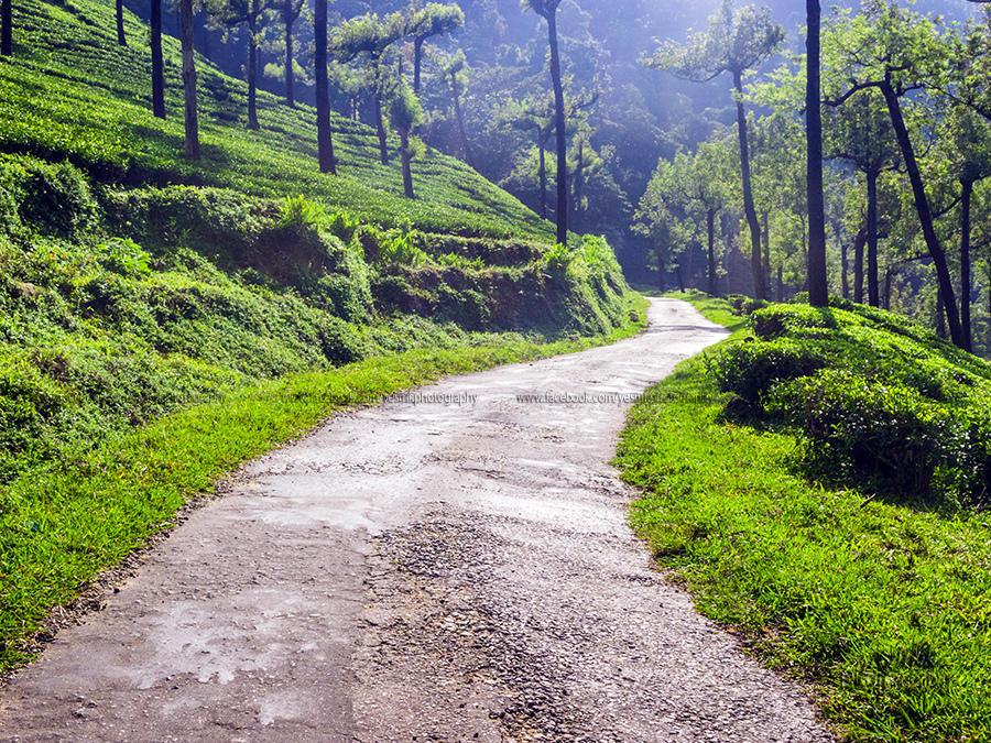 Tamilnadu Tourism: Manjolai Hills, Thirunelveli