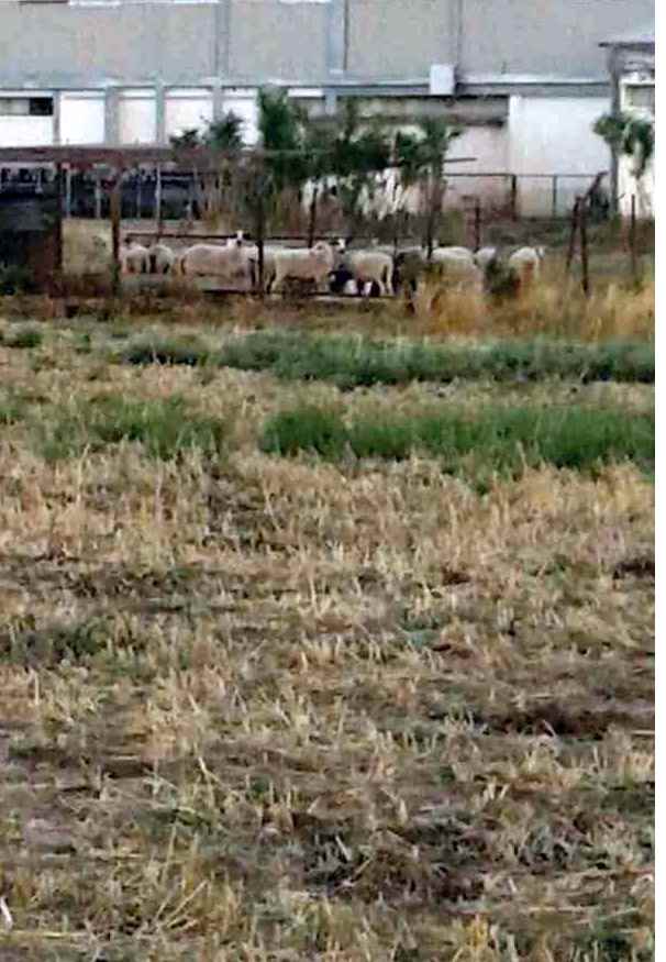 ΕΞΩΔΙΚΗ ΓΝΩΣΤΟΠΟΙΗΣΗ ΑΠΟ ΤΟ ΕΡΓΑΤΟΥΠΑΛΛΗΛΙΚΟ ΚΕΝΤΡΟ ΕΠΑΡΧΙΑΣ ΛΕΙΒΑΔΙΑΣ ...