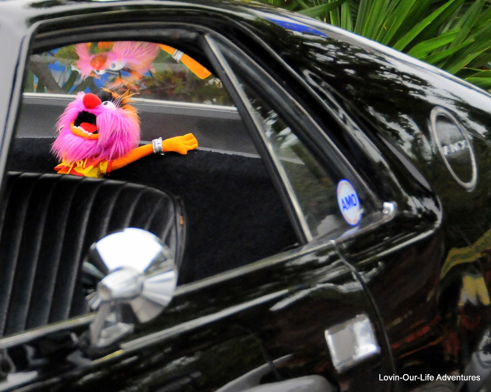 Lovin-Our-Life Adventures: Key West Car Show