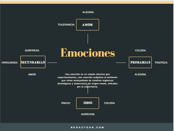 LAS EMOCIONES: MAPA MENTAL