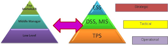 Information Technology : Week 7