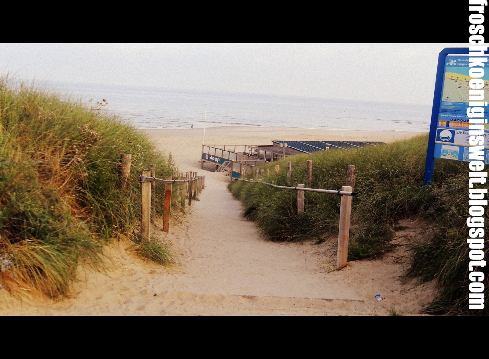 Froschkönigin: Urlaubsbilder | Niederlande | Bergen aan Zee