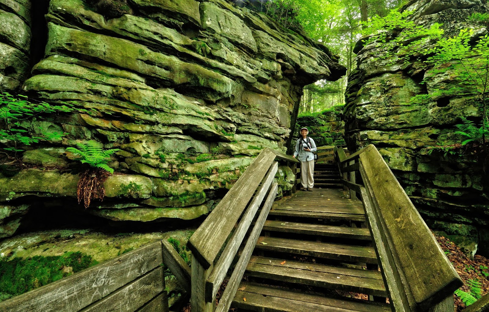 Discover West Virginia: Beartown Rocks! How They Got That Way