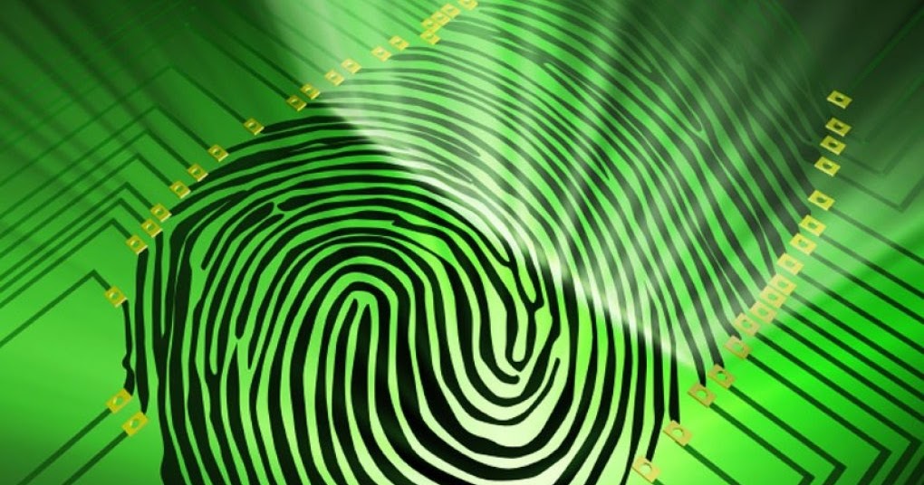 RFID Biometric Fingerprint Devices and Solutions: Here is Why You Need ...