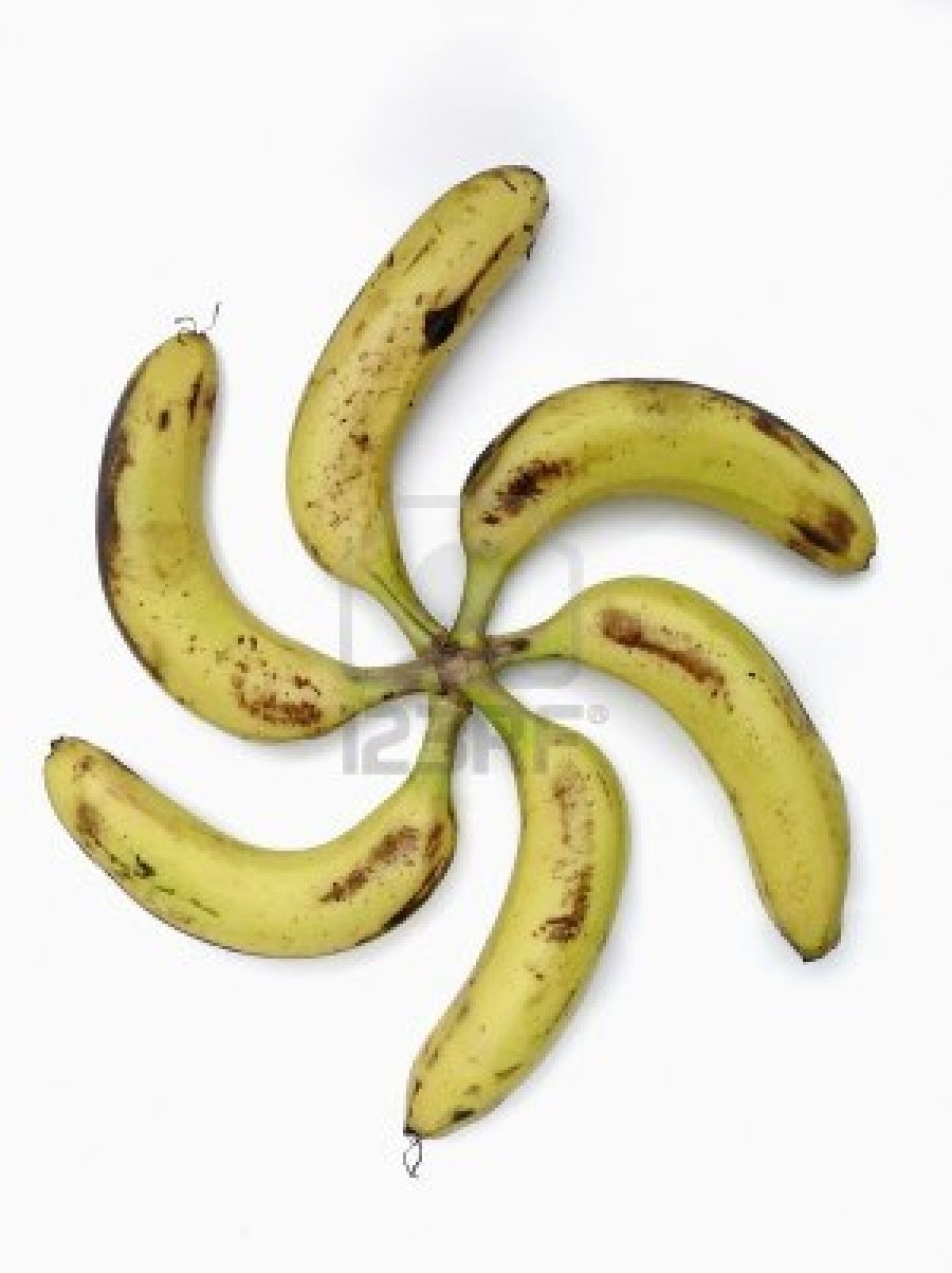 Deconstruyendo mi herencia: Vene/zuela/nas.