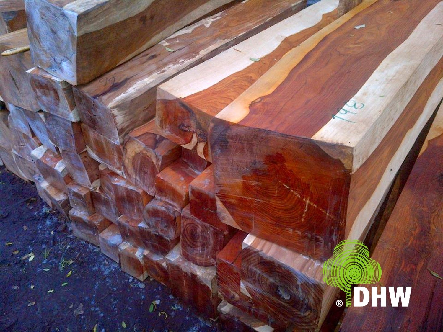 Cocobolo: DHW Timber - Exotic tropical hardwoods
