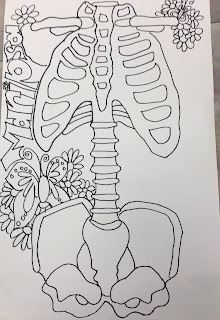 Art Room Blog: 5th grade Skeleton Torso Project...
