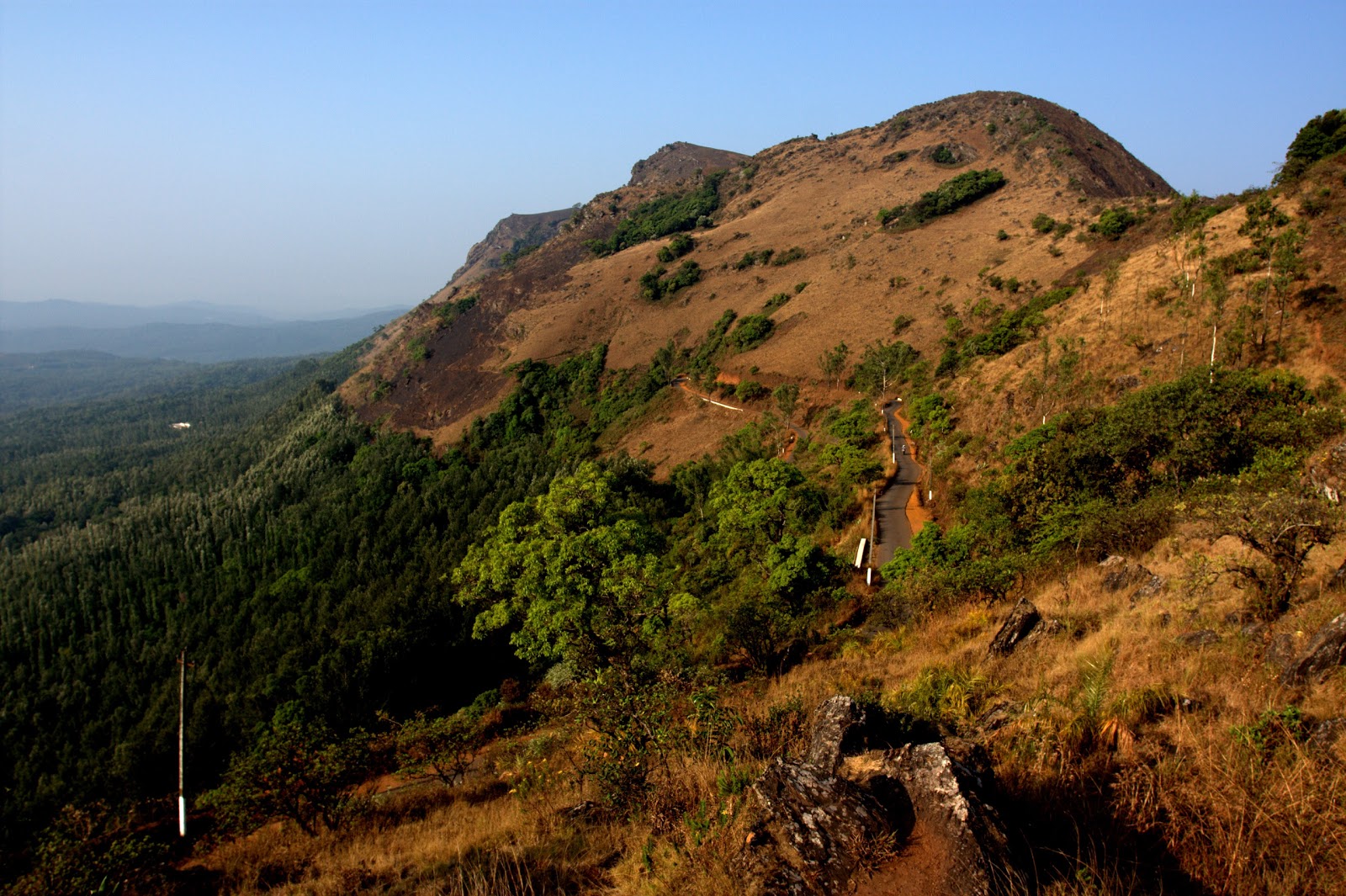 POORNA PRAJNA: Muthodi Forest and Mulliyangiri