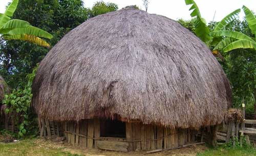 Suku Dani Di Papua | BERBAGI ILMU Suku Dani Di Papua | BERBAGI ILMU