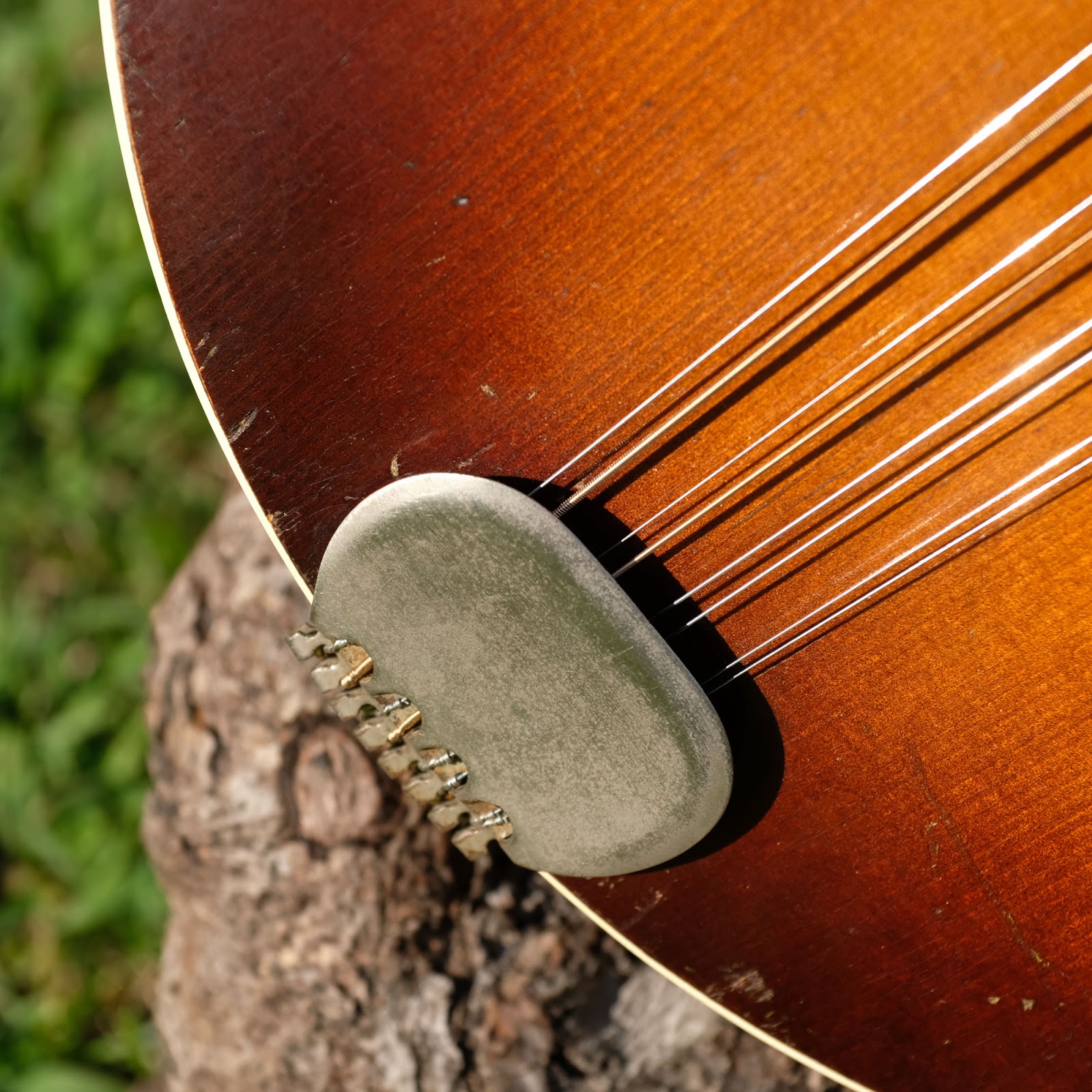 1930s Regal Octofone Octave Mandolin/8 String Tenor Guitar