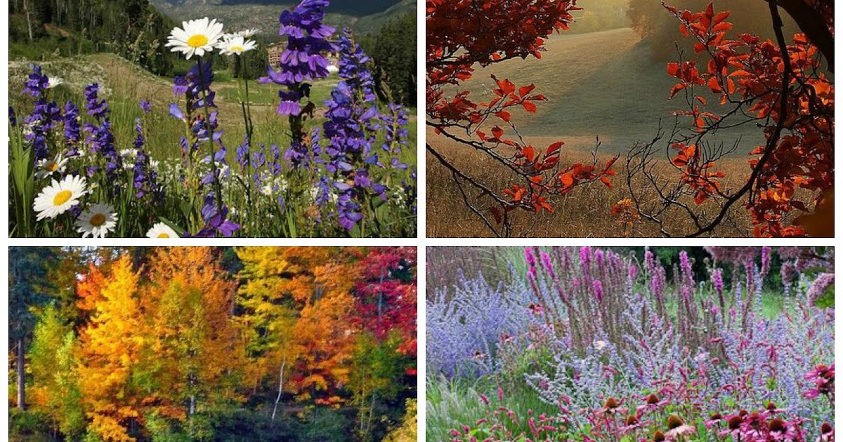 Words For Thought - And Then Some : Let Color Speak To You - Nature ...