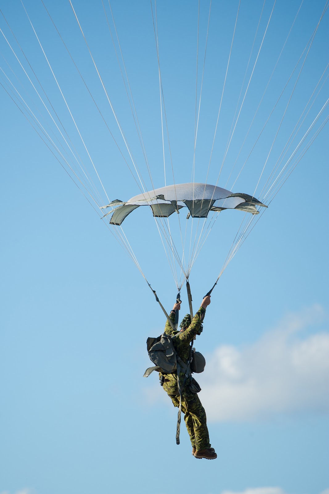 SNAFU!: 3rd Battalion, The Royal Canadian Regiment jump with the 82nd ...