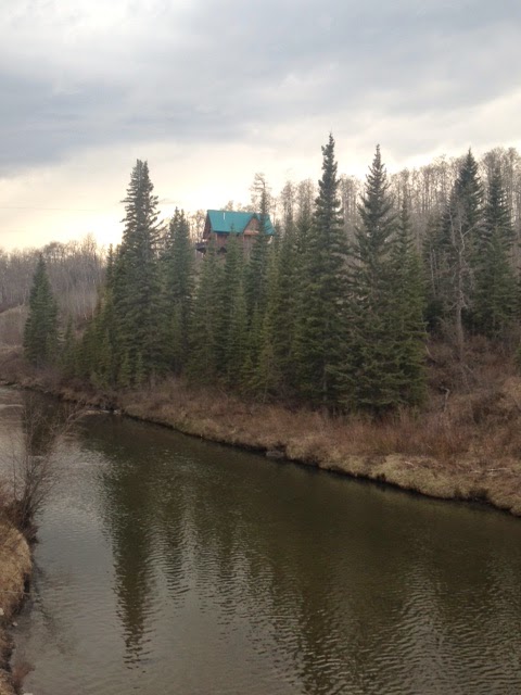 The view from here: Just west of Cremona, Alberta