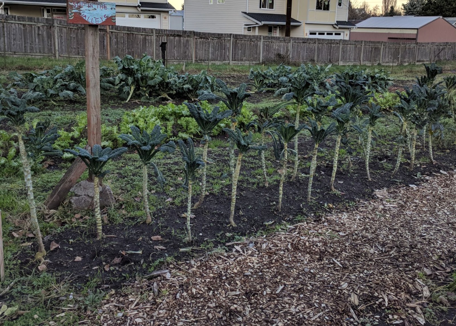 Eden By The Bay: Marra Farm Community Garden