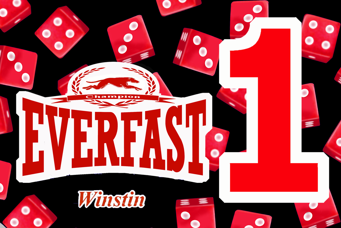 Everfast Greyhound Race Coats: 2017