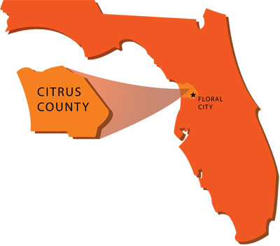 All Things Ruffnerian, a Design Blog and More: An Interesting Lesson ...