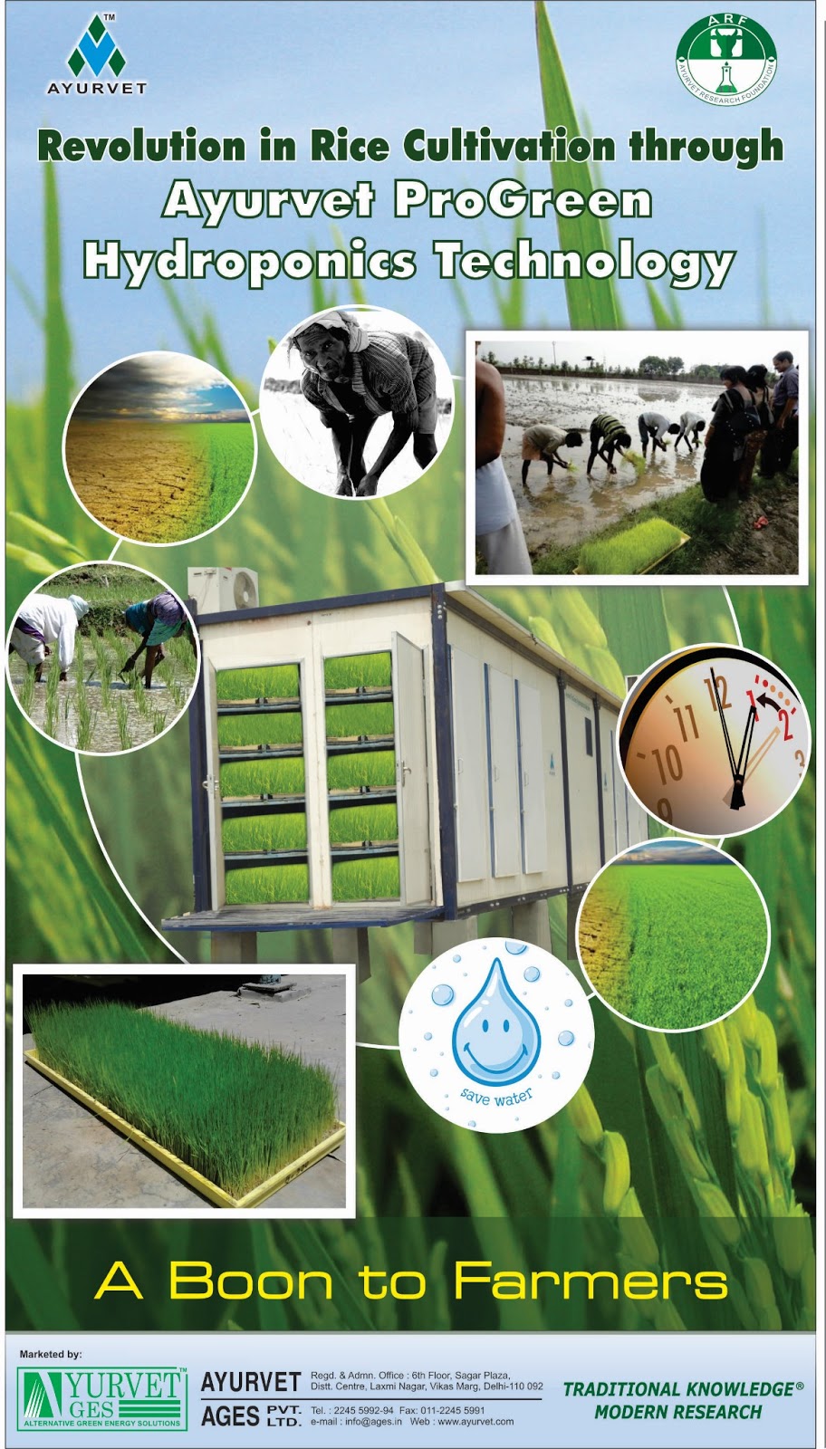 Dynamic Media: Revolution in Rice Cultivation through Ayurvet ProGreen ...