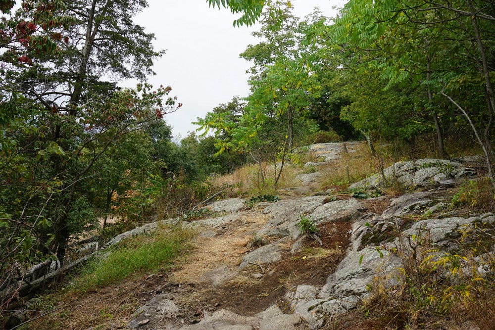 Harriman Hiker: Harriman State Park and Beyond: New Vista Loop Trail at ...