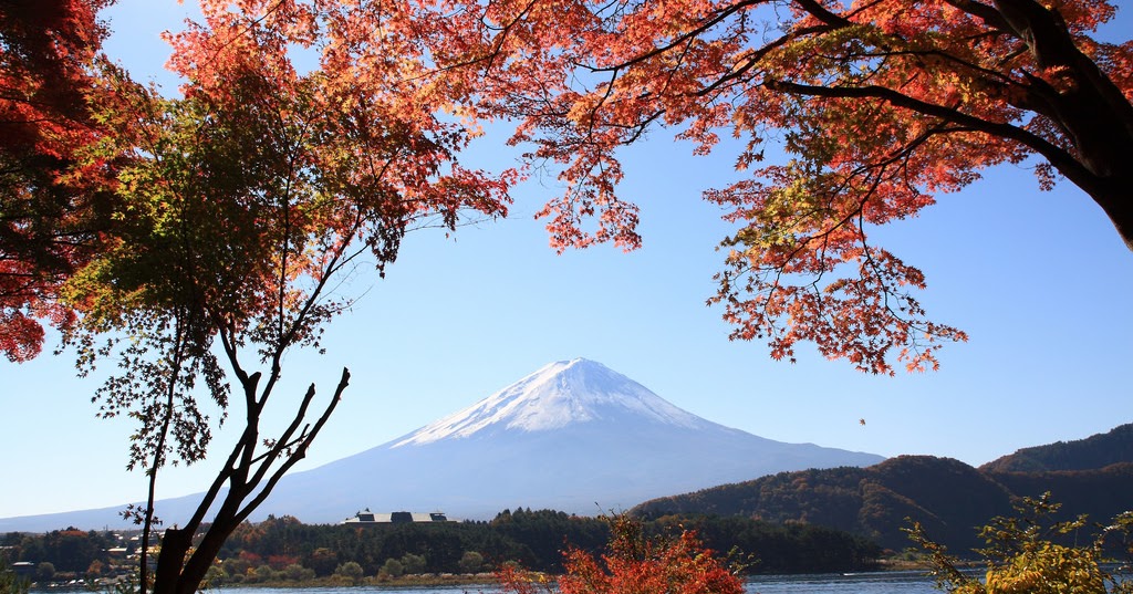 Health tips from an extra-terrestrial named Bashar - from a planet ...