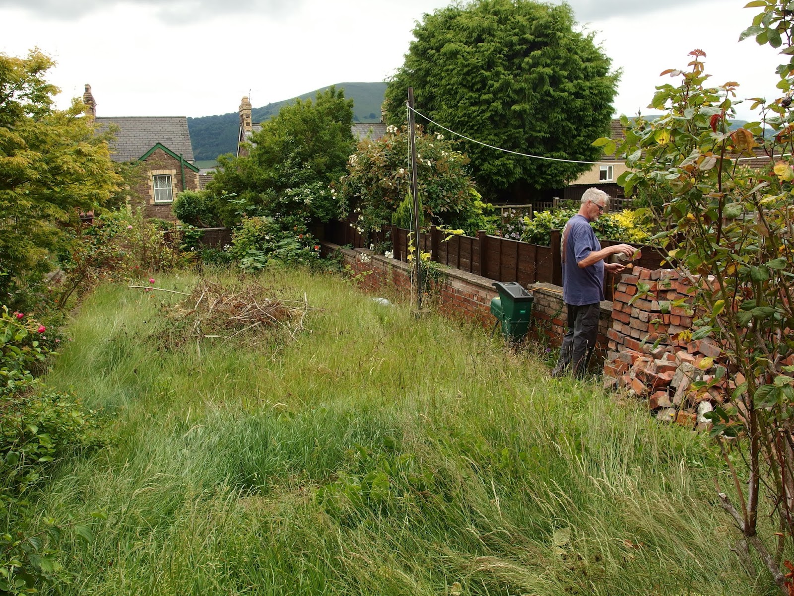 "ook?!": Peter Goodridge