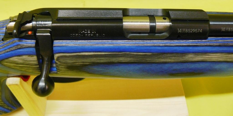 Armi usate web portal: CARABINA CZ MOD.EVOLUTION VARMINT 455 CAL.22LR