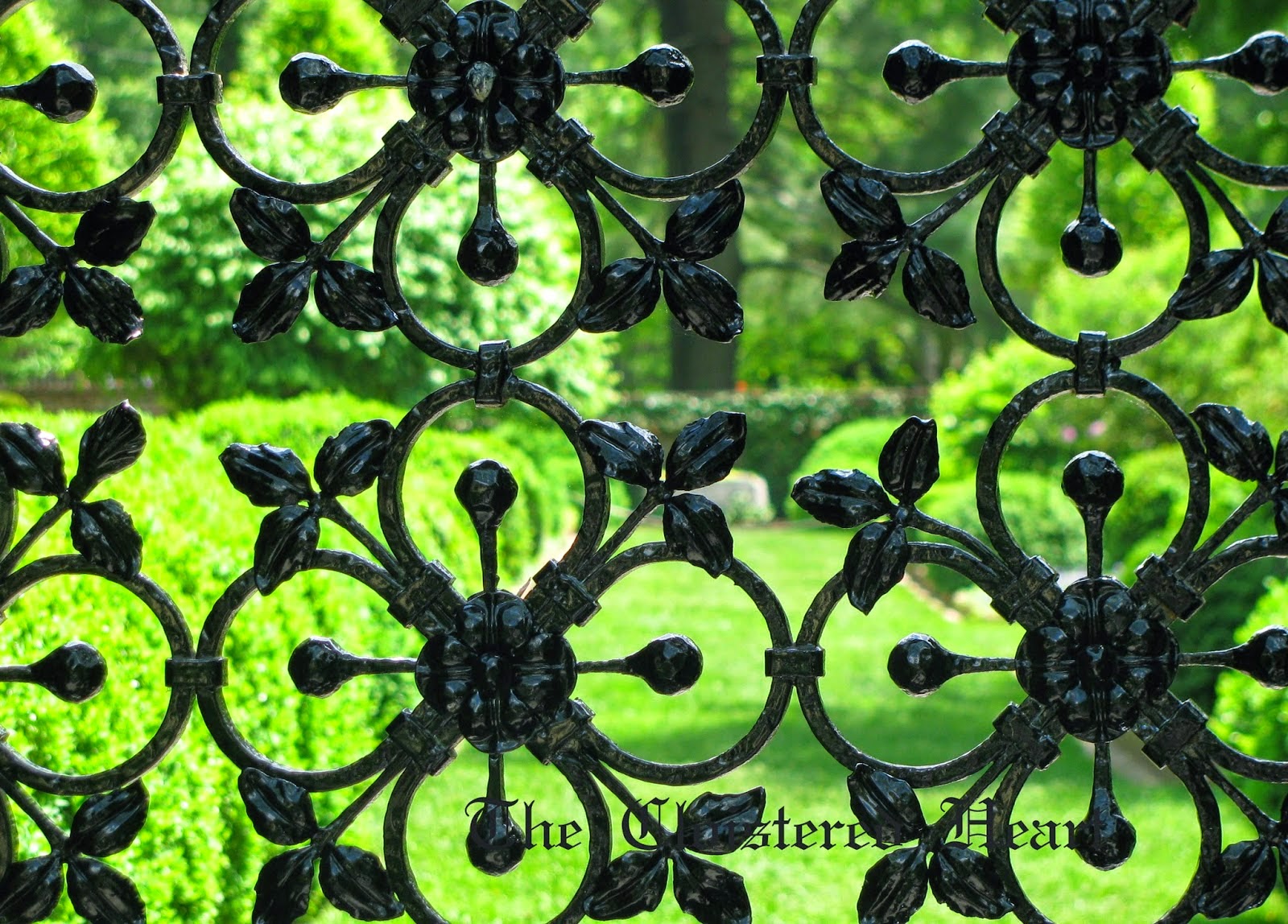 The Cloistered Heart: How to Practice the View Through the Grille