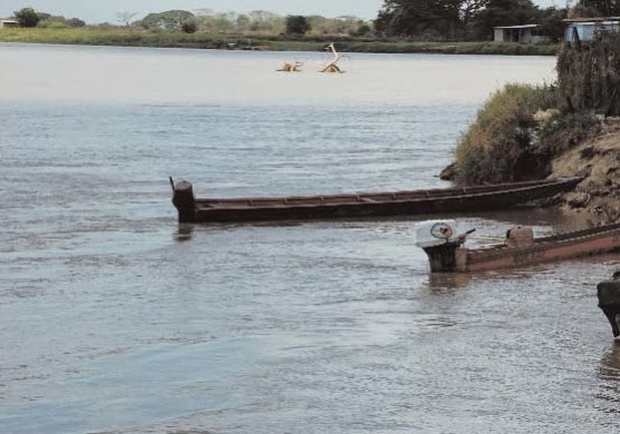 VIVENCIAS LLANERAS DEL ABUELO: Pueblos del Apure Medio: El Yagual