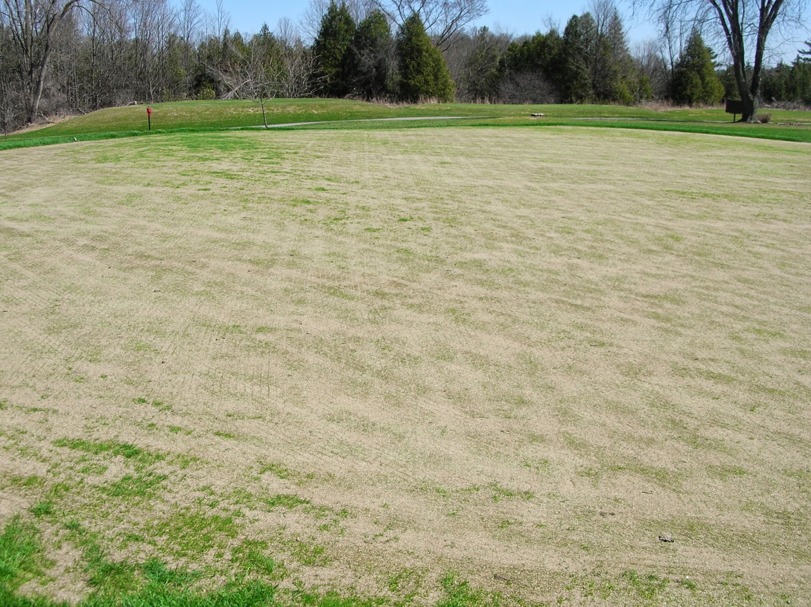 Whitevale Golf Club: Finally, opening day