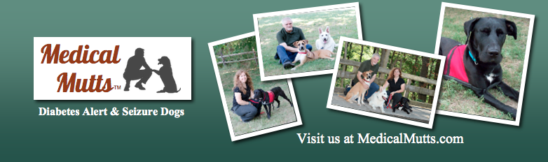 Medical Mutts: Jennifer Cattet Ph.D. talks about diabetes alert dogs on ...